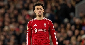 LFC.pl